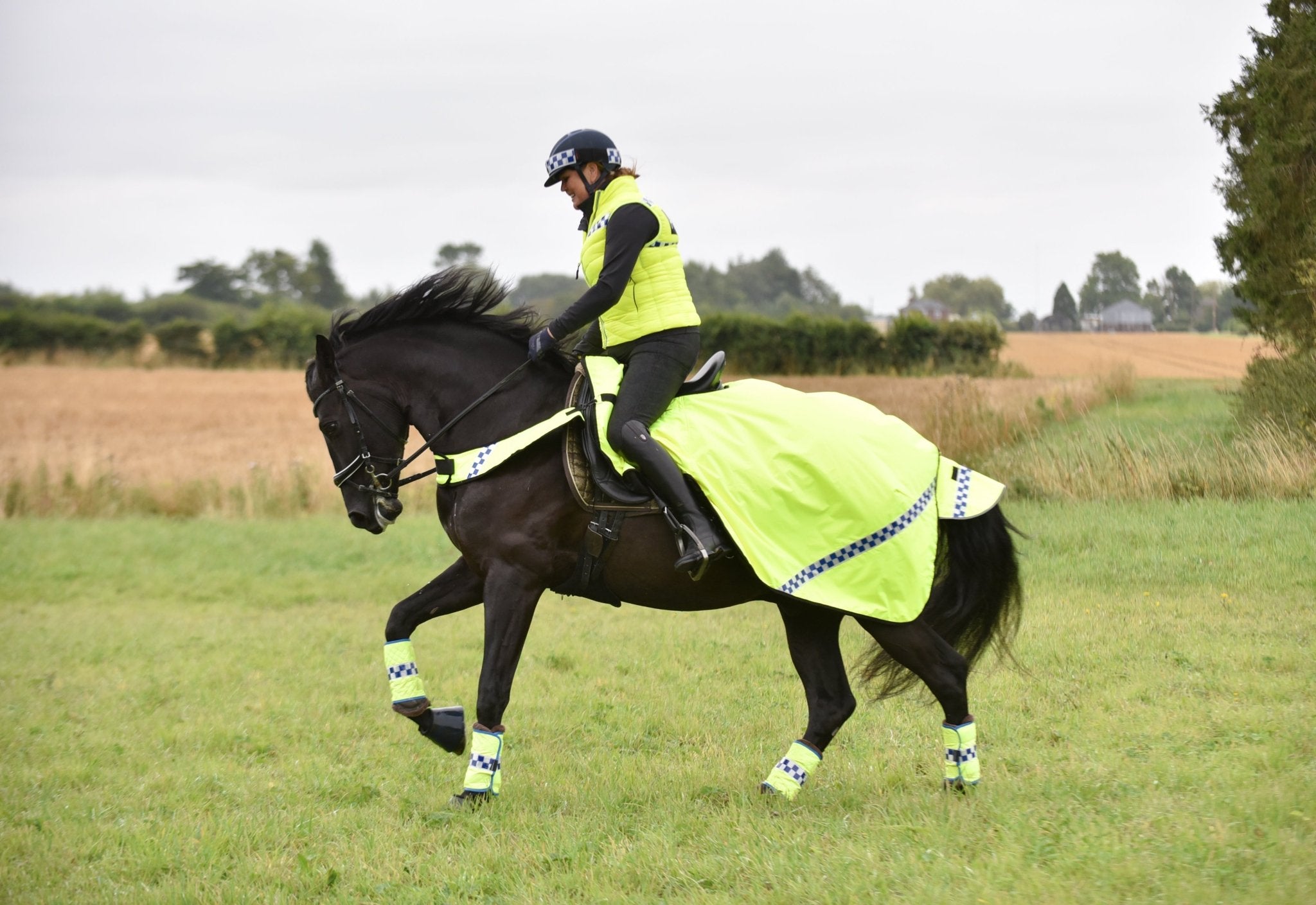 Equisafety Hi Vis