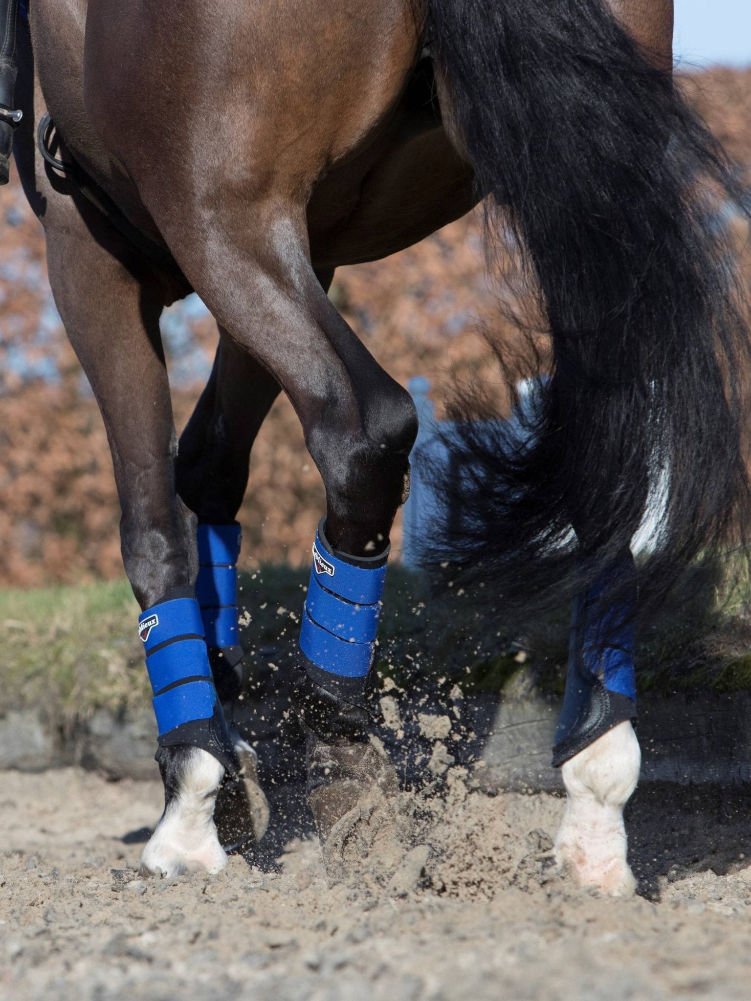 LEG PROTECTION